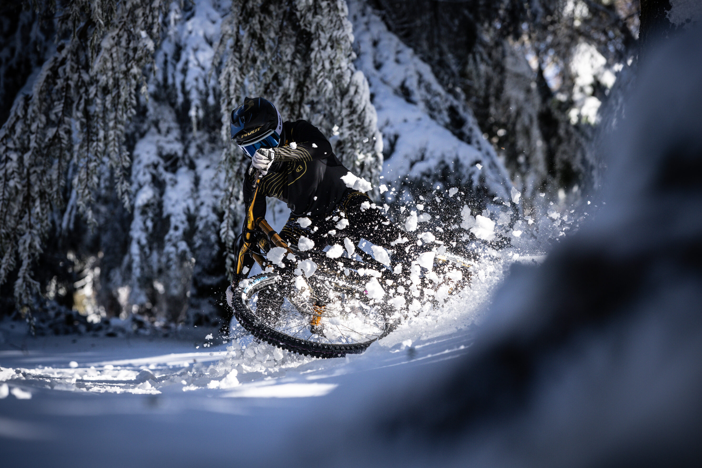 Jordi Bago - Athletes - Pivot Cycles